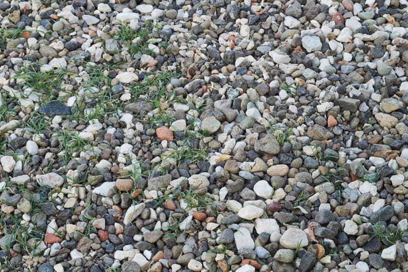 Stony quay by the lake stock image. Image of grass, stones - 99939143