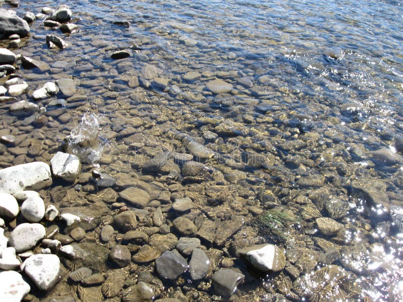 Stony River Bottom through Transparent Water, Different Sizes of Stones ...
