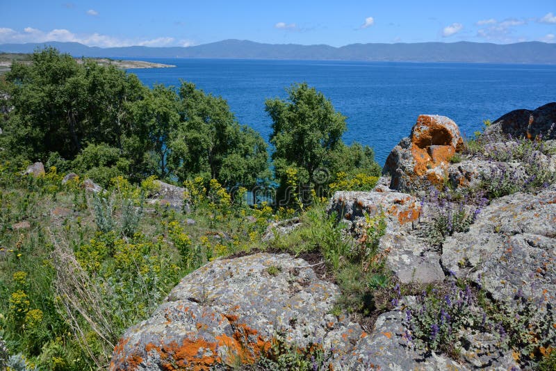 Stony Shore of Sevan Lake, with Trees and Stones Stock Image - Image of ...