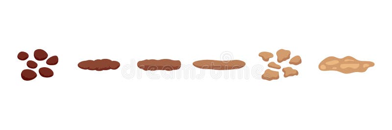Stool Faeces Type Classification, Structure Excrement. Types ...