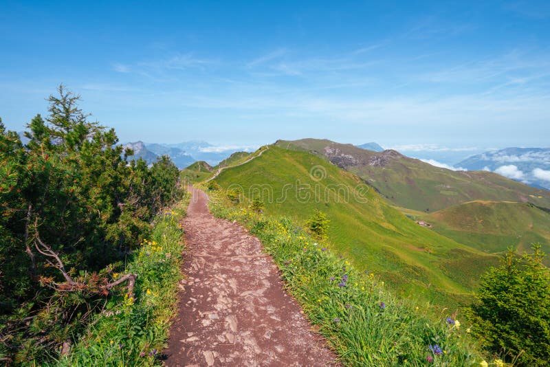 Stoos Ridge Hike in Switzerland during Summer Stock Image - Image of ...