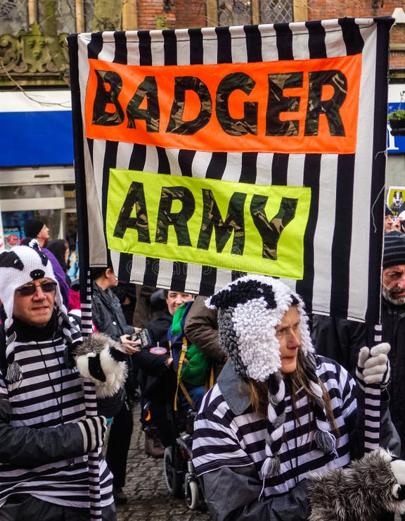 Stop the Badger Cull Protest March Editorial Stock Image - Image of ...