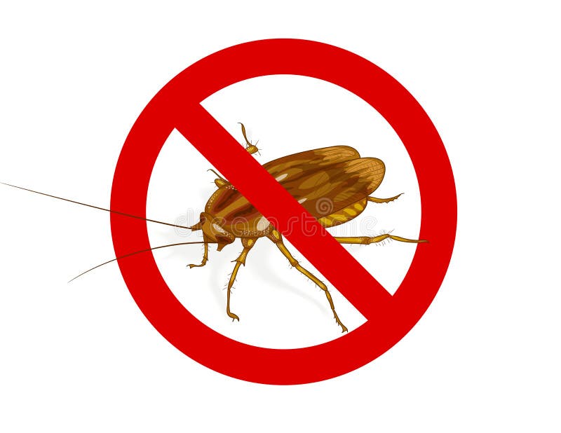 Sign: No cockroach here! stock vector. Illustration of public - 18350178