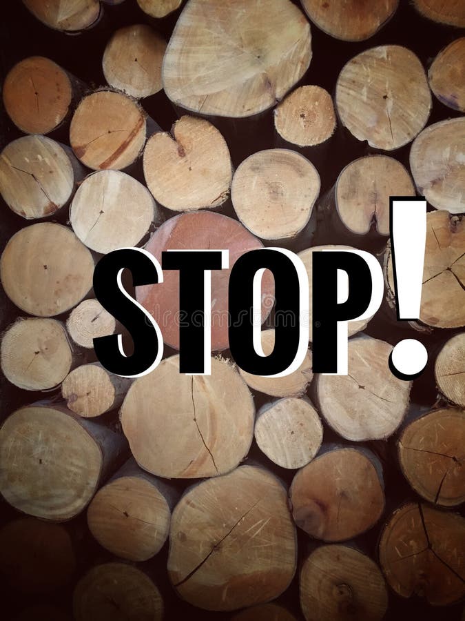 Do not destroy the forest stock photo. Image of world - 169810684