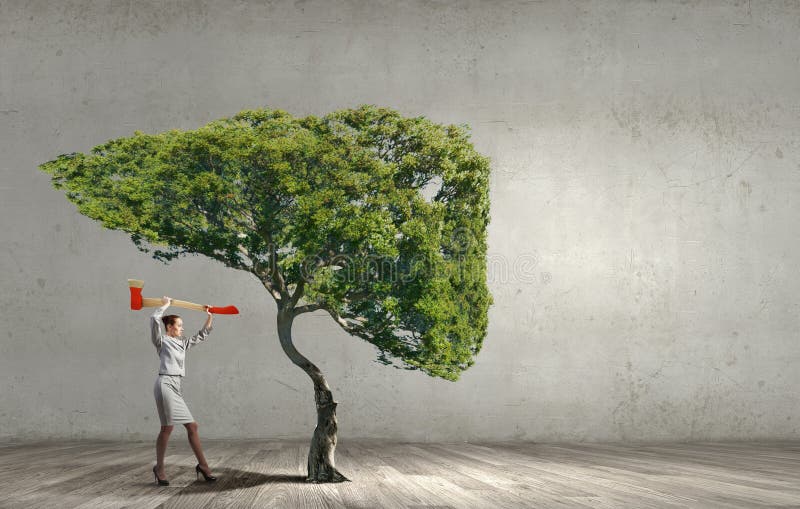 Stop cutting trees stock photo. Image of tool, timber - 56063636