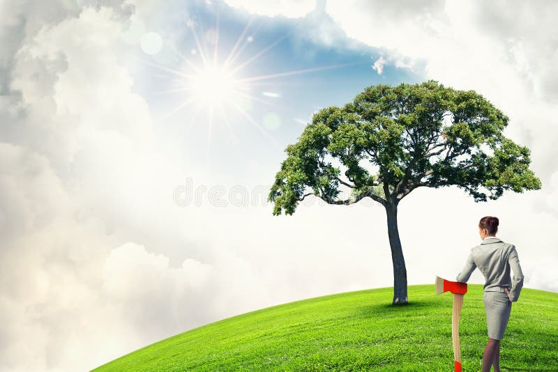 Stop cutting trees stock image. Image of tree, tool, liver - 56921257