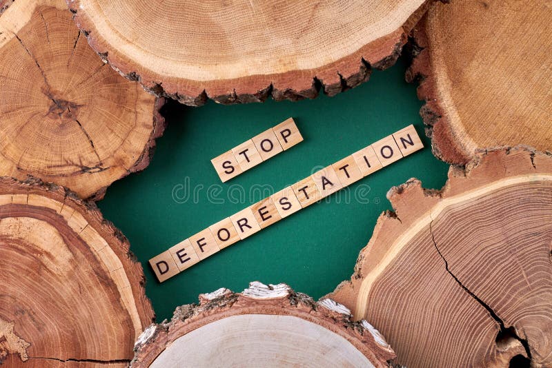 Stop Deforestation Wooden Cubes. Stock Image - Image of typography ...