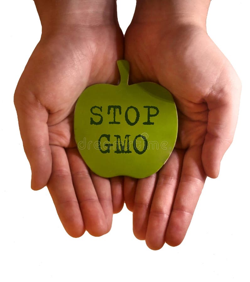 Stop GMO stock photo. Image of experiment, genfood, modification - 31204540