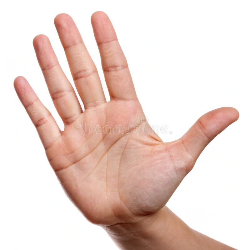 Stop Hand Gesture Isolated on White Background Stock Illustration ...