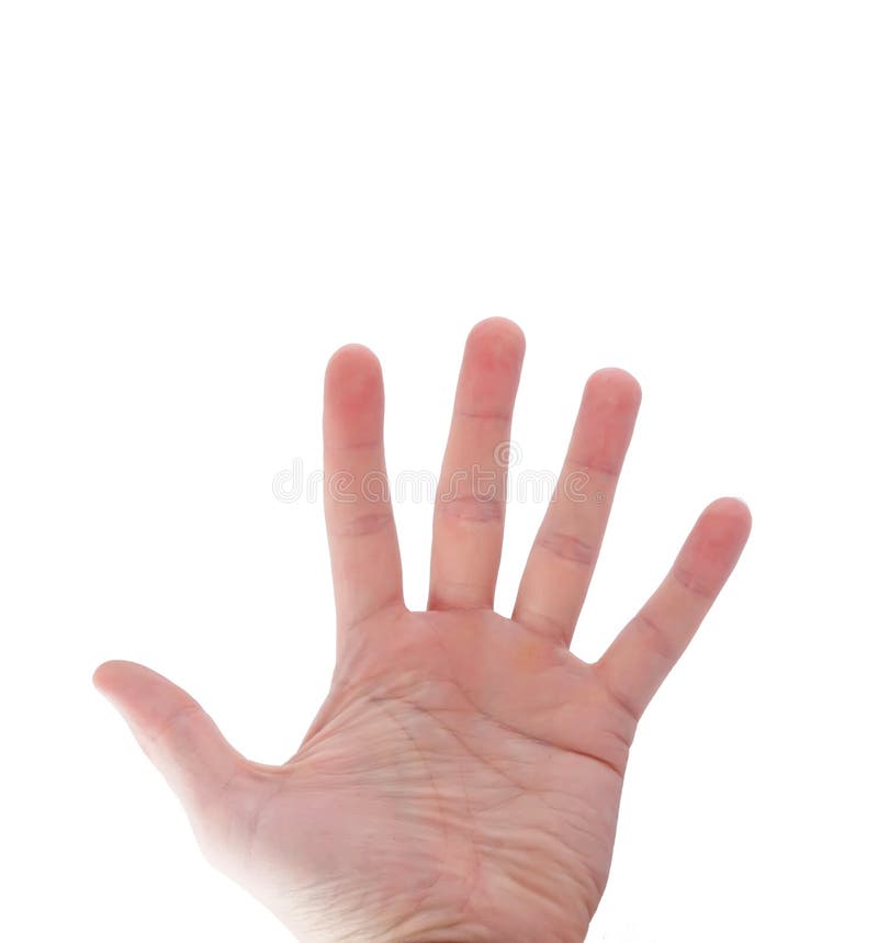 Stop Hand Sign Isolated on White Background Stock Image - Image of stop ...