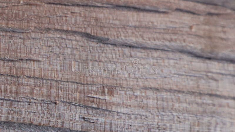 Stop Motion Animated Wood Texture Background Useful for Old Films ...
