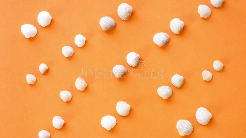 Stop Motion Animation of Many Pair Dancing Sea Shells on Orange ...