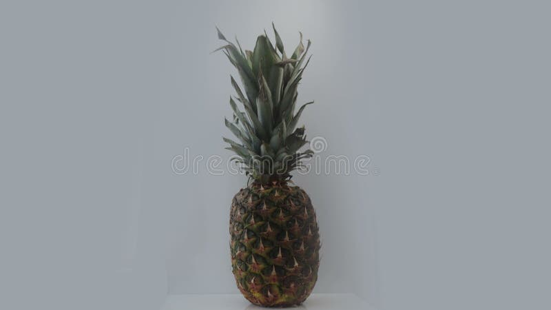 Stop Motion of Pineapple Spinning Stock Footage - Video of movement ...
