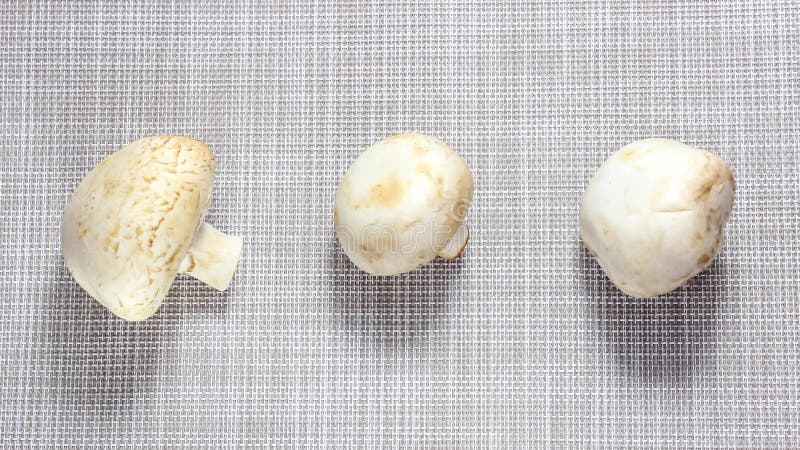 Stop Motion Animation. Whole Raw Mushrooms Move on the Table Surface ...