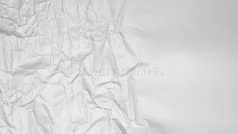 A Left To Right Panning Shot of Nguni Breed Cattle Grazing Along a ...