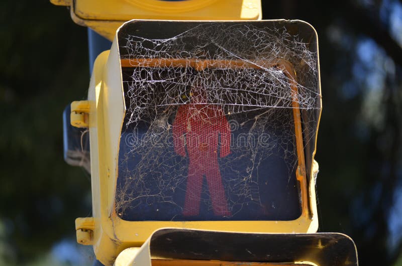 Spider Web Stop Sign Stock Photos - Free & Royalty-Free Stock Photos ...