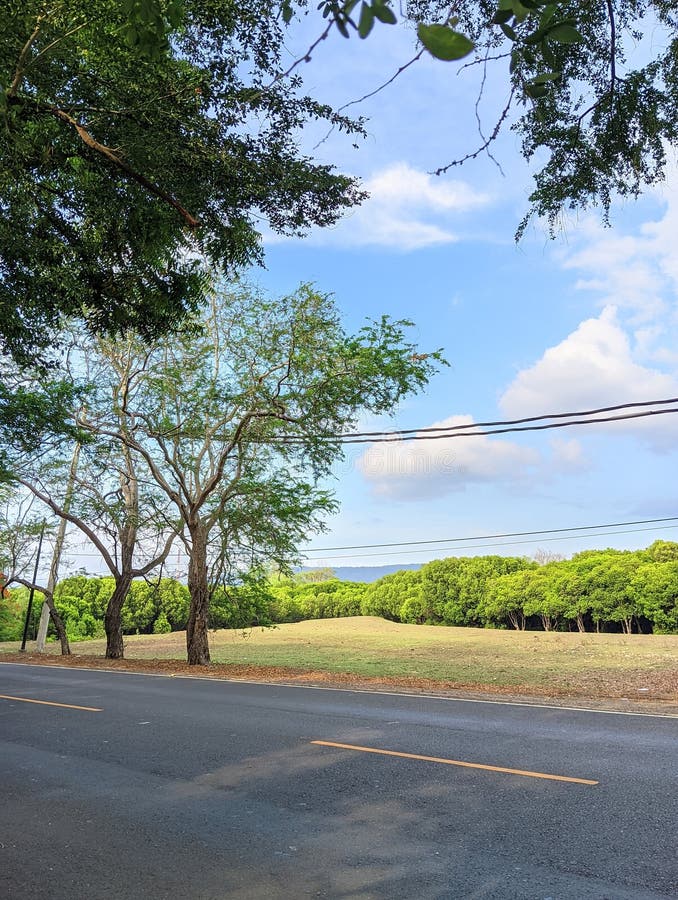 Stop Side Road Stunning View Stock Photos - Free & Royalty-Free Stock ...