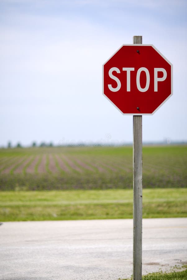 Stop Sign stock photo. Image of maize, signpost, symbol - 10491864
