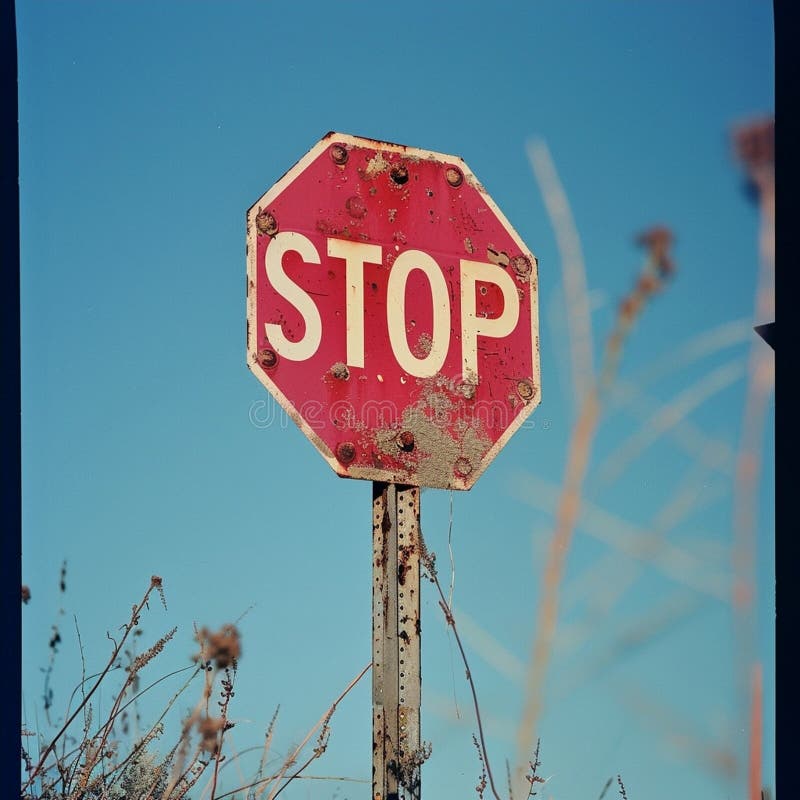 Stop Sign Alerts Drivers To Halt Traffic Stock Illustration ...