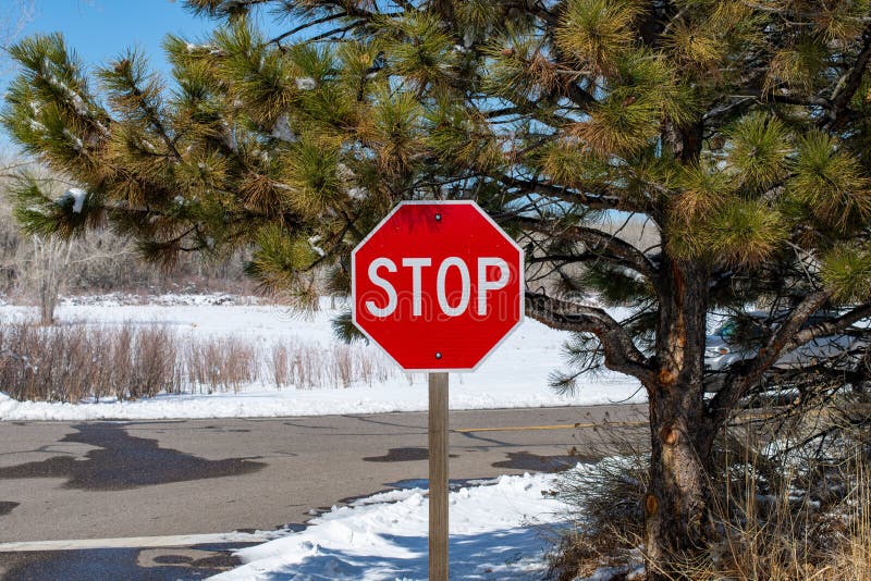 Stop Sign Along the Road in Cherry Creek State Park Stock Image - Image ...