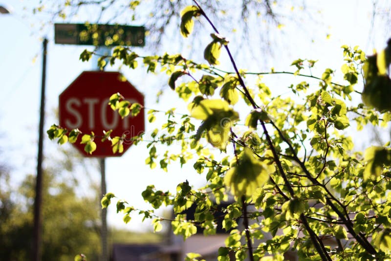 Stop Sign Art stock photo. Image of good, falls, sign - 70532410