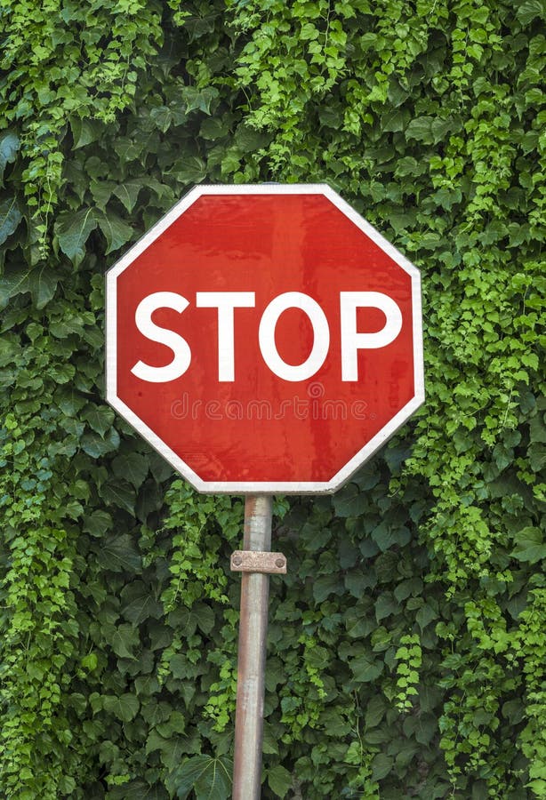 152 All Way Stop Sign Stock Photos - Free & Royalty-Free Stock Photos ...