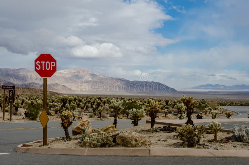 Stop Sign in Cholla Garden Desert Stock Image - Image of mountains ...