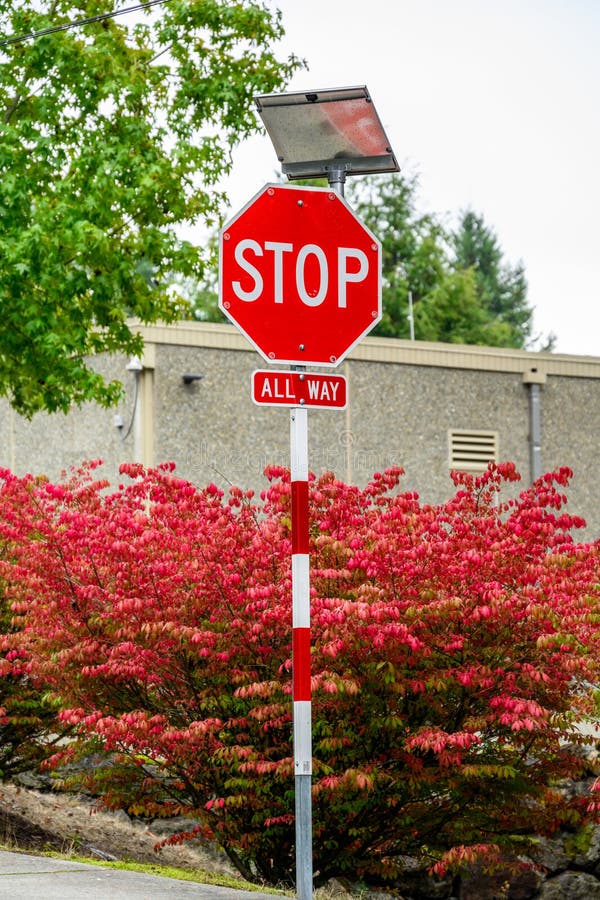 Stop Sign with Flashing LED Lights Powered by a Solar Panel, All Way ...