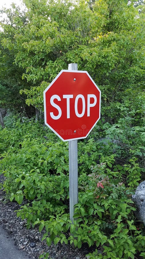 Stop Sign stock image. Image of brush, forest, stop, sign - 97648959