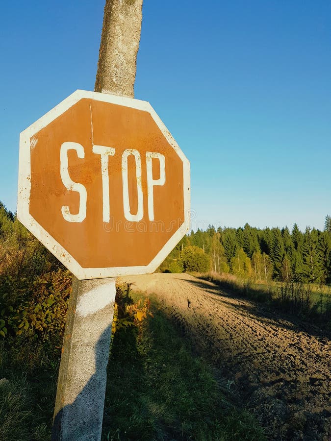Stop sign at forest edge stock image. Image of future - 78084061