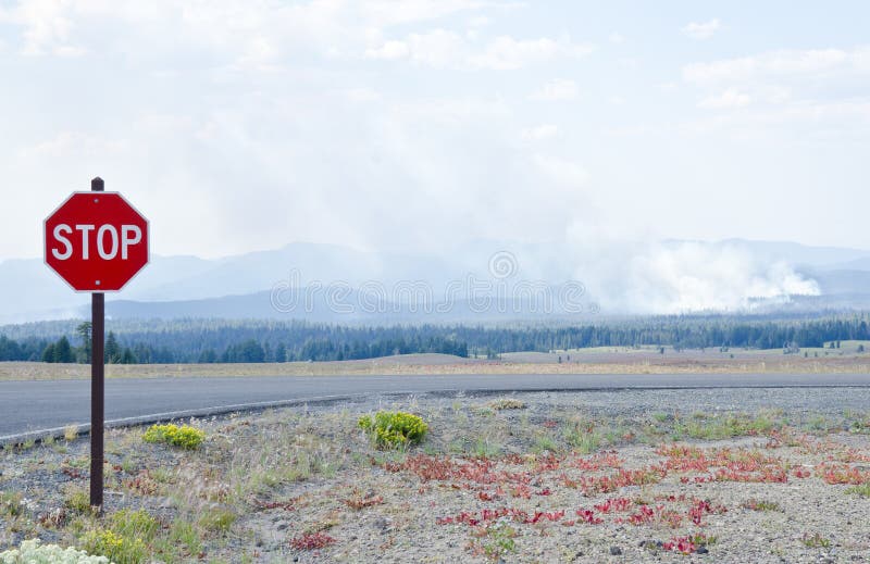Stop Sign and Forest Fire stock image. Image of forest - 21242011