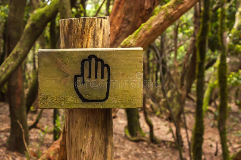Stop sign on forest path stock photo. Image of nature - 42526798