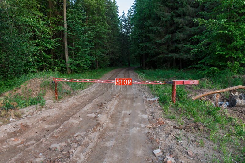 Stop sign in the forest. stock photo. Image of border - 233105790