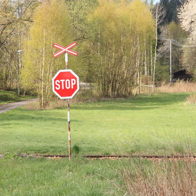 Stop sign stock image. Image of meadow, stop, birchtree - 39972021