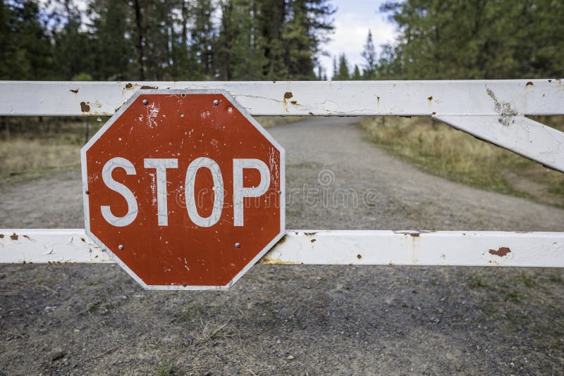 Nature Stop Sign stock photo. Image of beautiful, color - 102441284