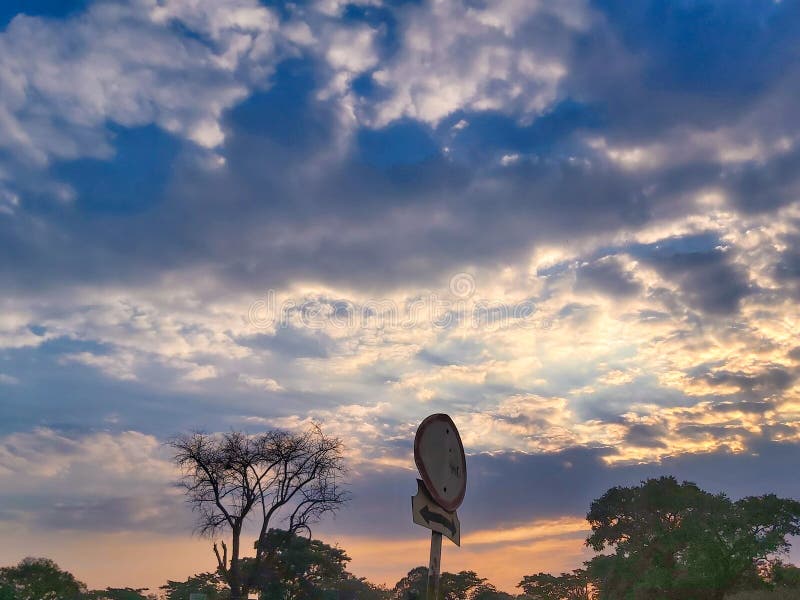 Stop Sign and Golden Sunset Stock Image - Image of hill, tree: 202586061