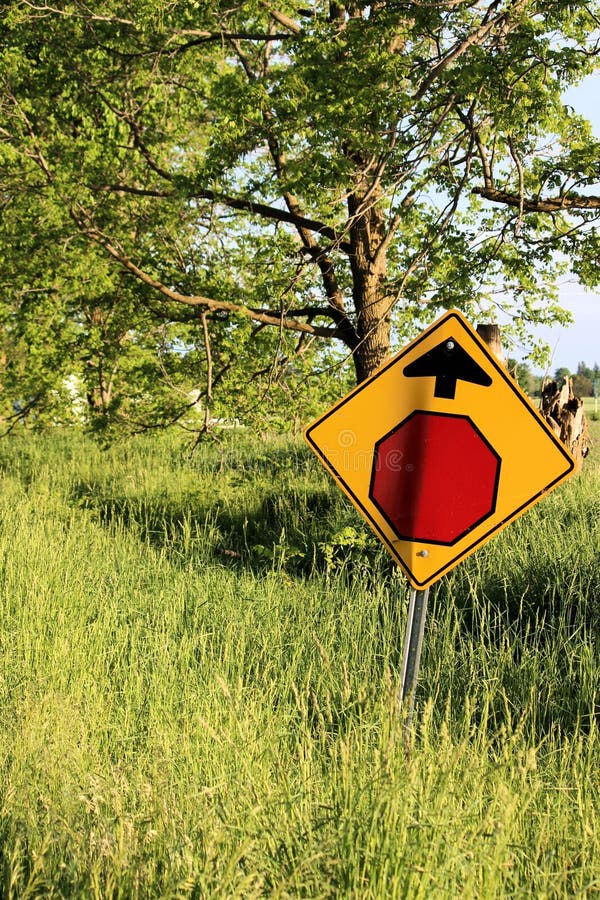 Stop Sign in the Grass stock image. Image of trees, sign - 79885297