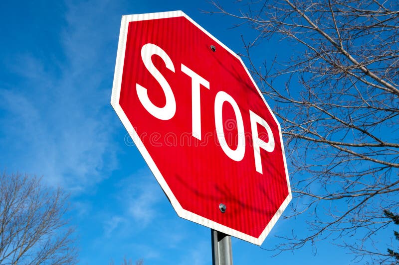 Stop Sign from Low Angle Against Blue Sky and Branches Stock Photo ...