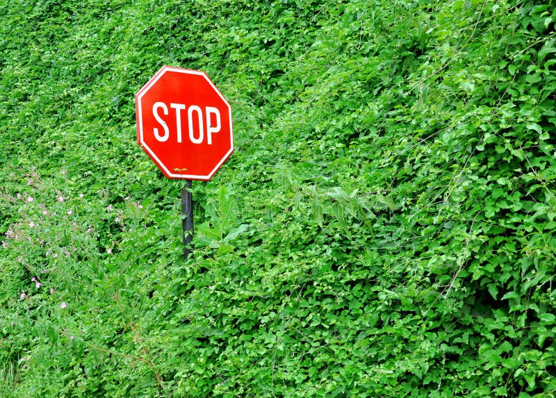 Stop sign among plants stock image. Image of frame, objects - 53539837