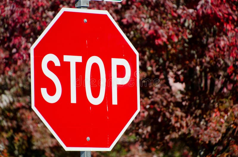 Stop Sign with Red Leaves in the Background Stock Photo - Image of stop ...