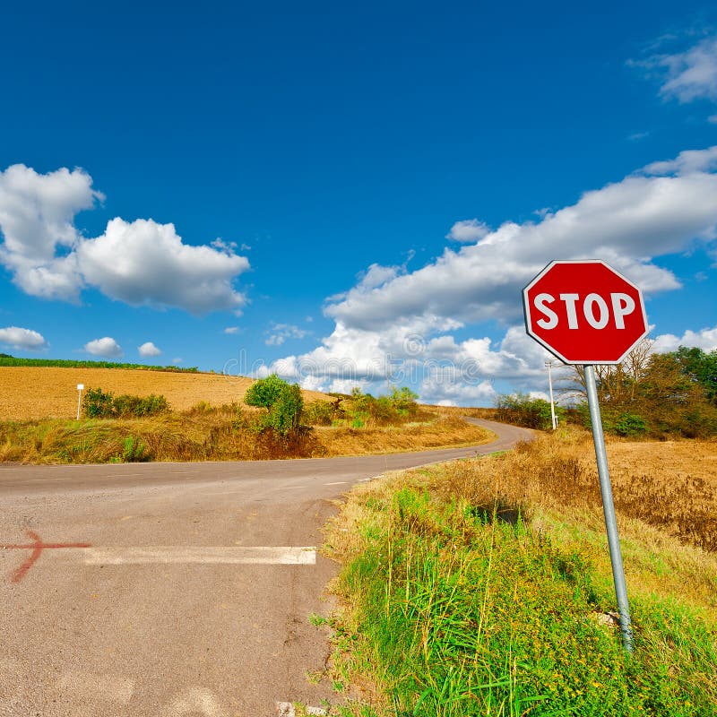 Stop Sign stock photo. Image of italian, forest, asphalt - 64113556