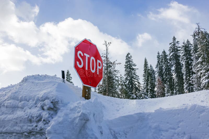 Stop Sign on the Roadside almost Covered with Snow Stock Image - Image ...