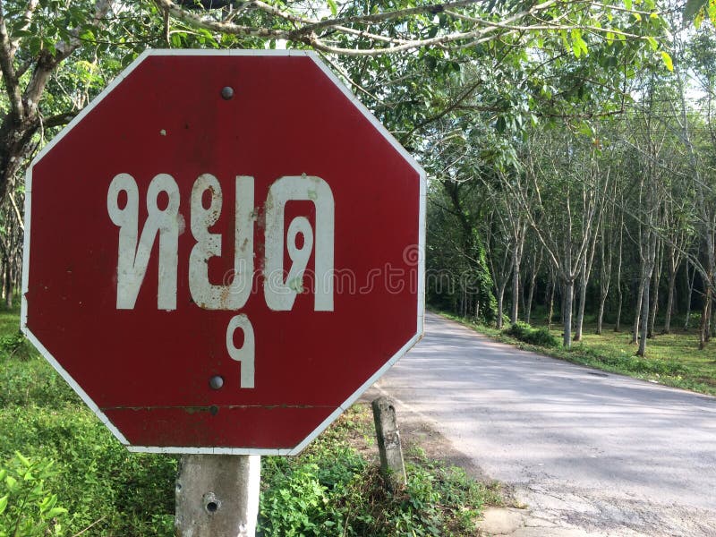 Stop stock photo. Image of rural, stop, sign, road - 228613396