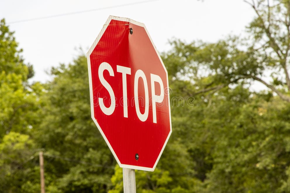 Stop sign from side stock image. Image of sign, leaf - 220879795