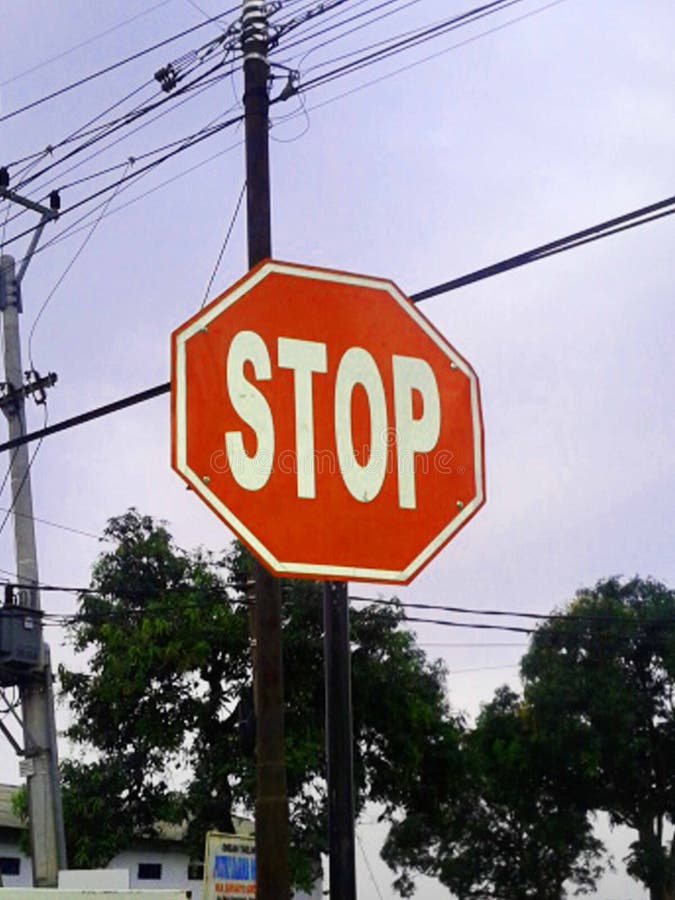 Stop sign stock photo. Image of advertising, tree, lane - 256301644