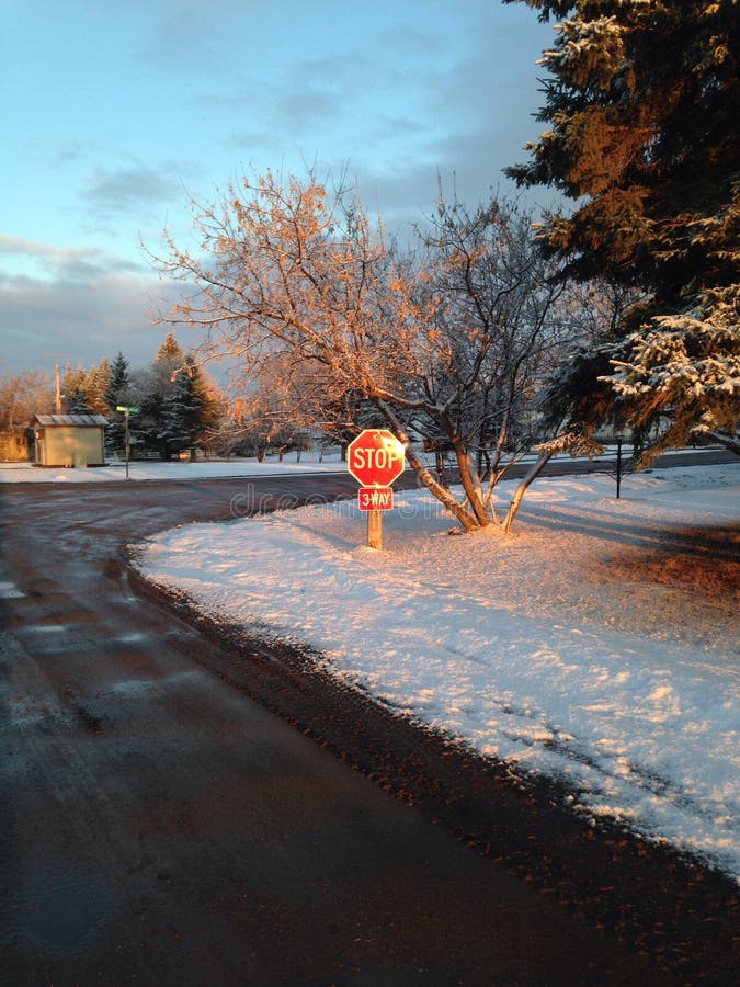 Stop stock image. Image of sign, spring, winter, sunset - 52441739