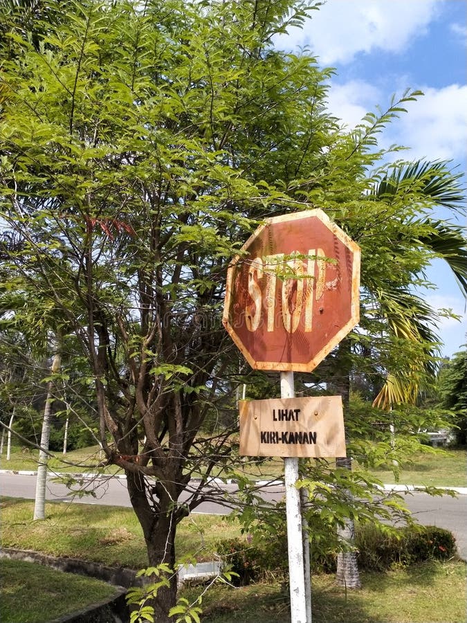 Stop sign and tree stock image. Image of left, right - 227776569
