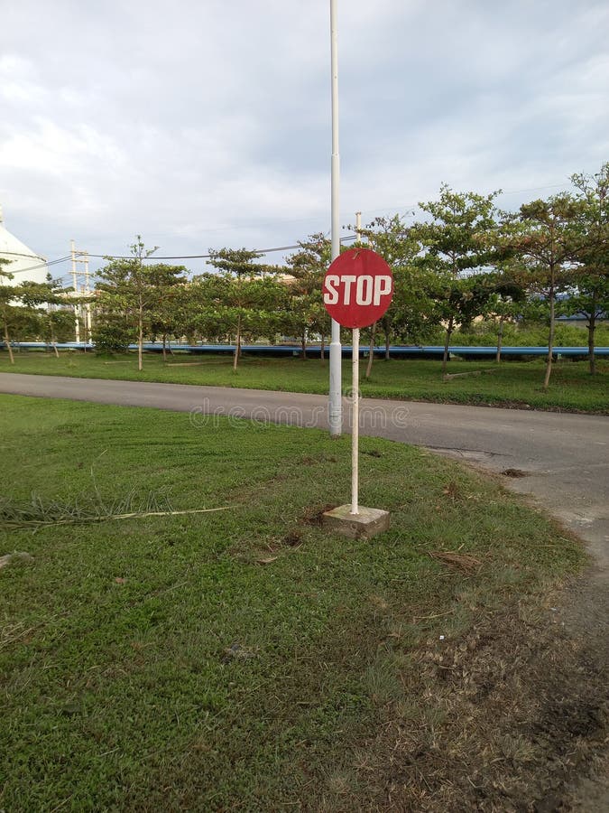 Stop Sign in Way Gross Trees Sky Stock Photo - Image of trees, stop ...