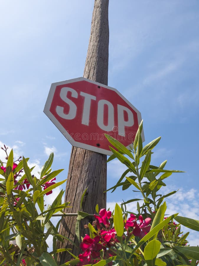 Stop Sign on Wooden Pole Surrounded by Flowers Stock Photo - Image of ...