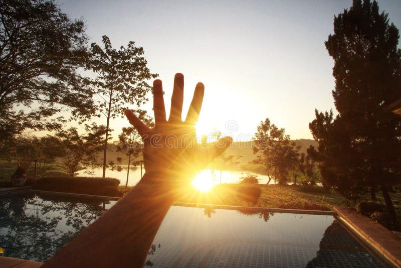 Stop stock photo. Image of attraction, sunlight, stop - 42652080